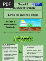 Graad 4 NWT Kwartaal 2 Soliede Materiale | PDF