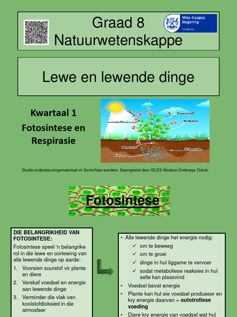 Fotosintese en Respirasie | PDF