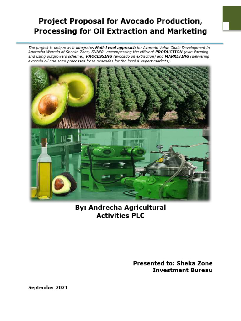 Avocado BP - Final | PDF | Marketing | Agriculture