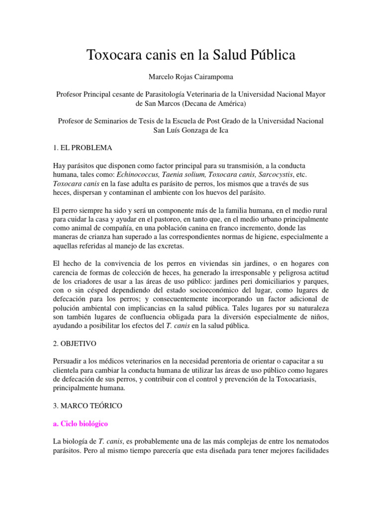Toxocara Canis en La Salud P Blica | PDF | Zoología | Biología