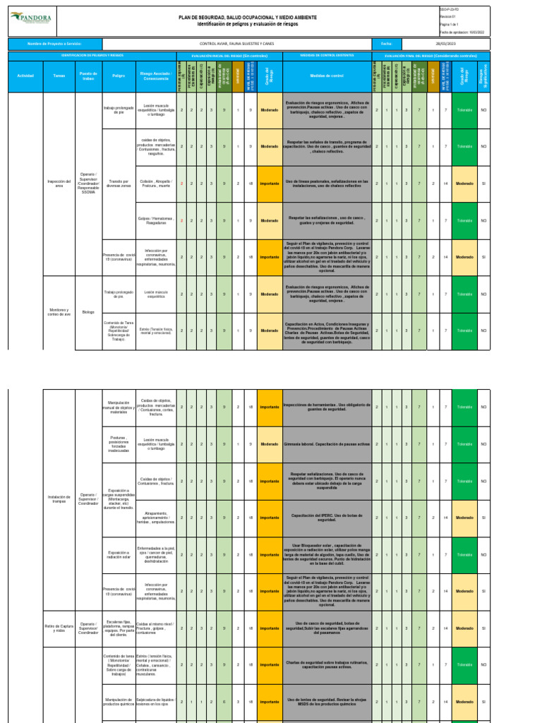 Matriz Identificación de Peligros, Evaluación de Riesgos y Controles 2023 LAP | PDF | Dolor ...