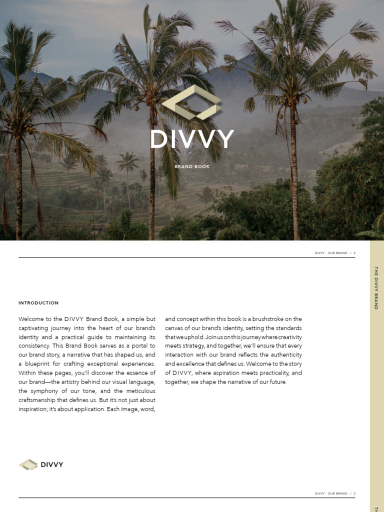 DIVVY - Our Brand FINAL | PDF | Brand