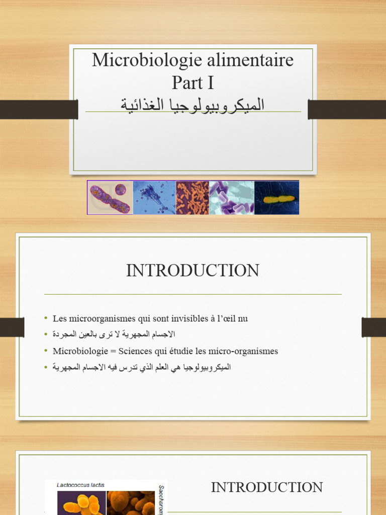 Microbiologie Alimentaire Part I | PDF