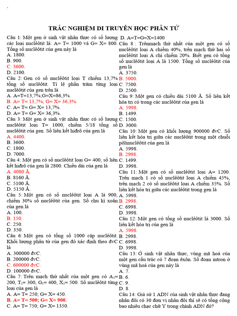 Bai Tap PHAN TU ADN | PDF