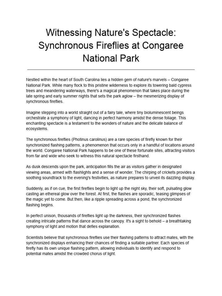 Witnessing Nature's Spectacle - Synchronous Fireflies at Congaree ...