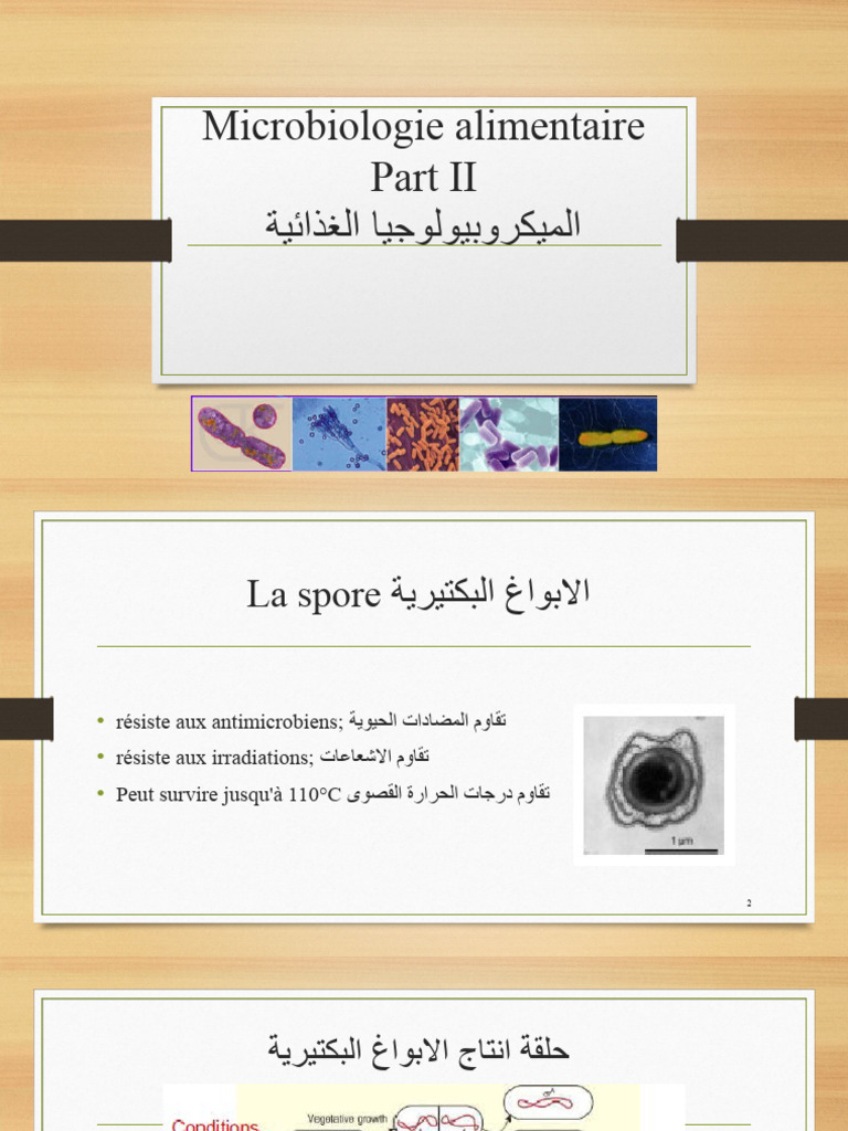 Microbiologie Alimentaire Part II | PDF | Réfrigérateur | Nourritures