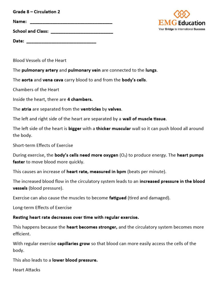 Grade 8 Week 18 Circulation 2 Content | PDF