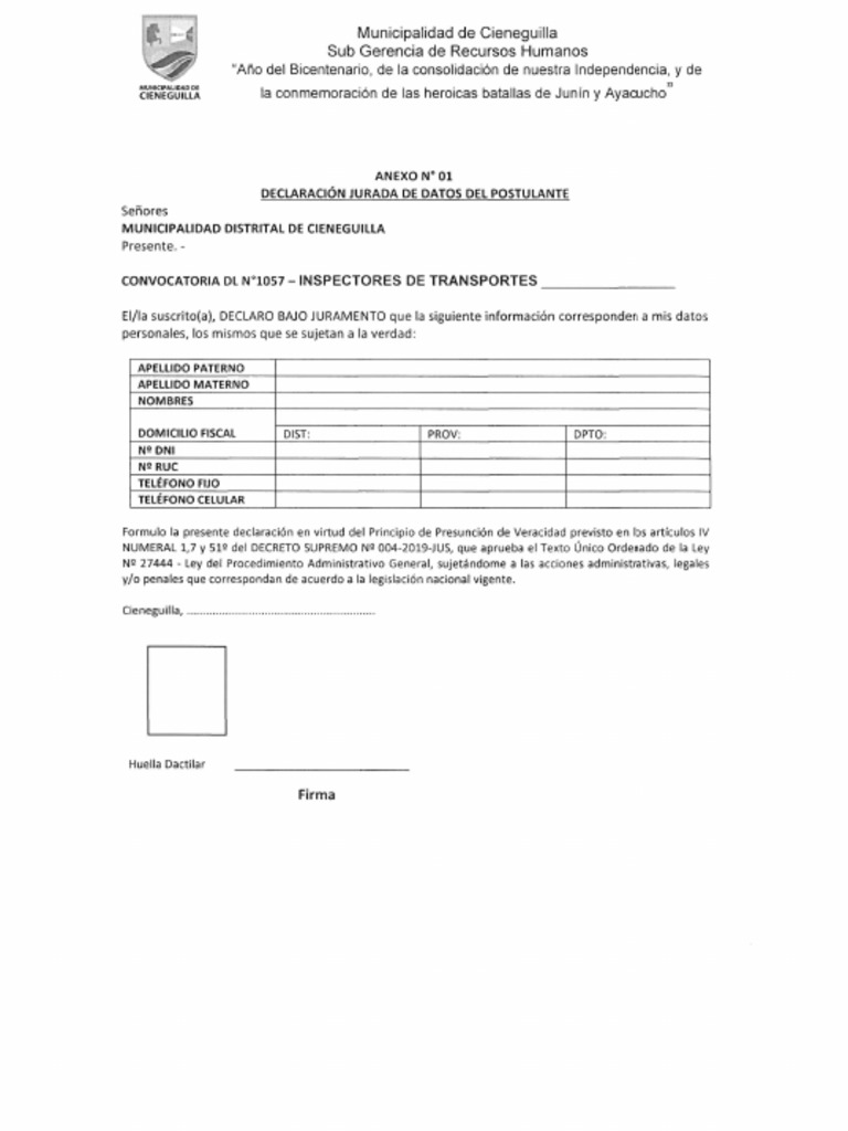 Base IMT CAS 2024-Formatos - 02 | PDF