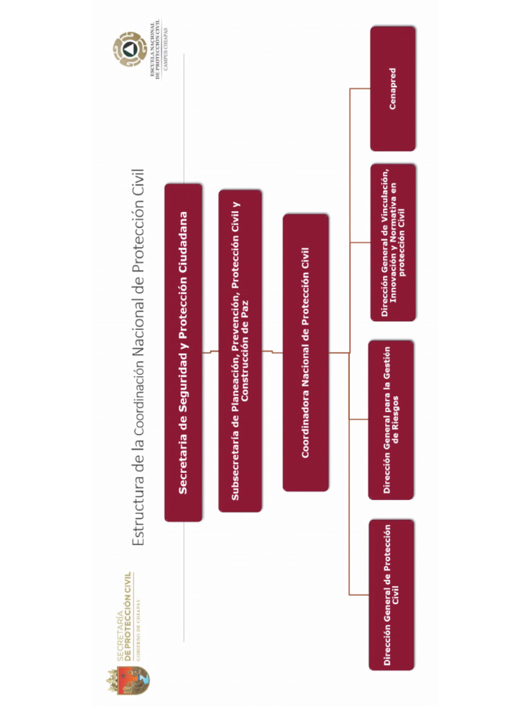Organigrama SINAPROC | PDF