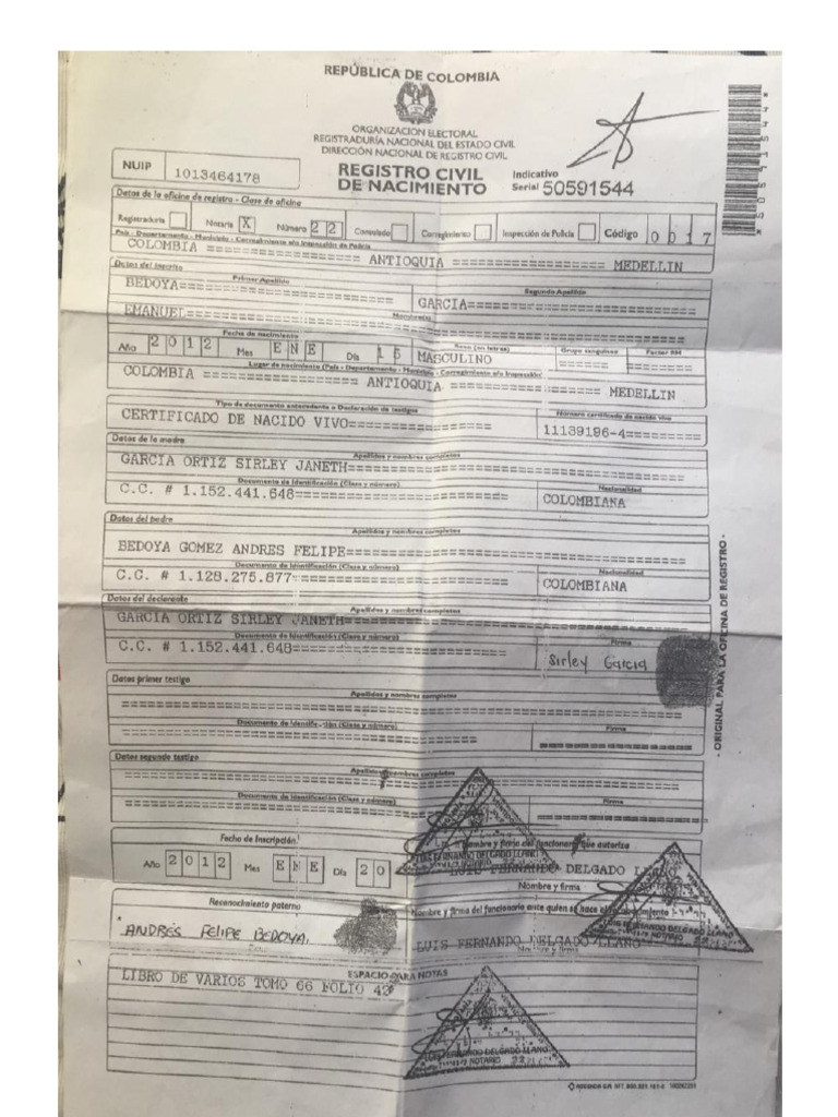 Documentos Emanuel | PDF