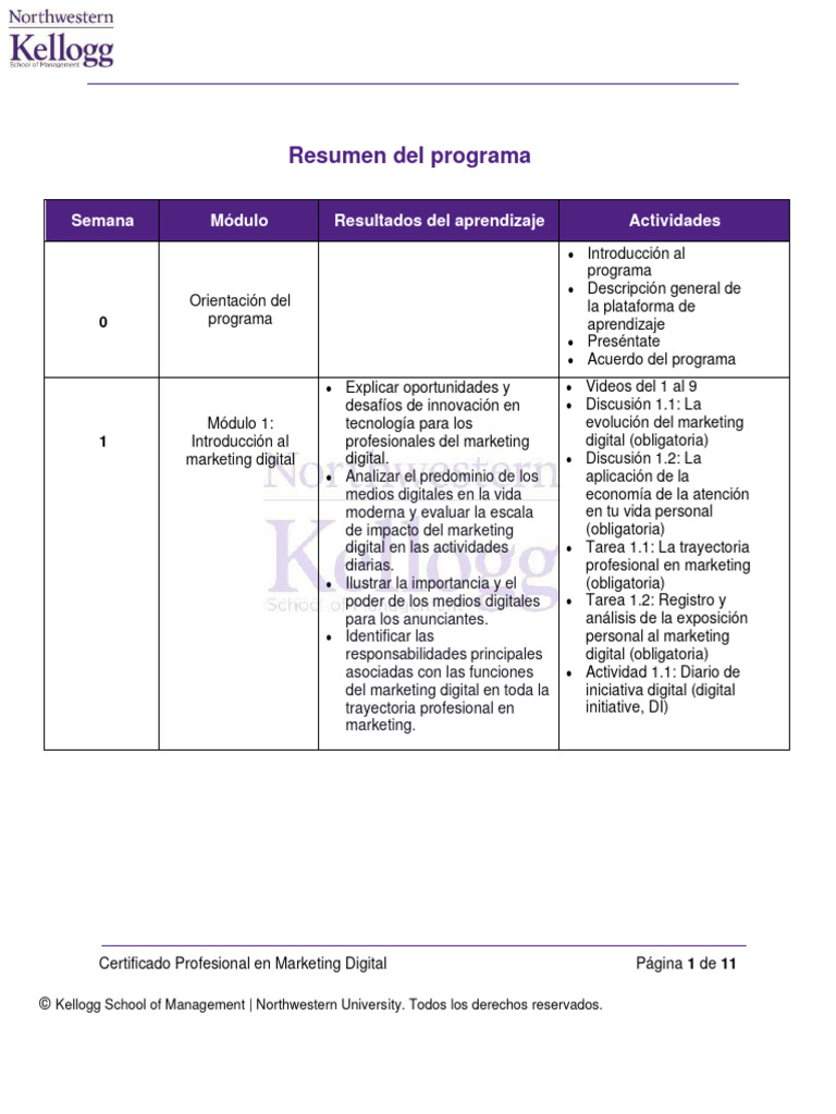 Program Outline | PDF | Publicidad digital | Marketing