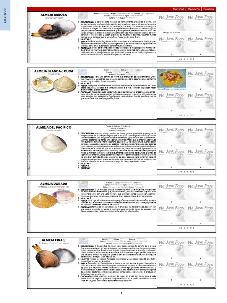 MARISCOS - MOLUSCOS - BIVALVOS-1 | PDF | Mariscos | Moluscos