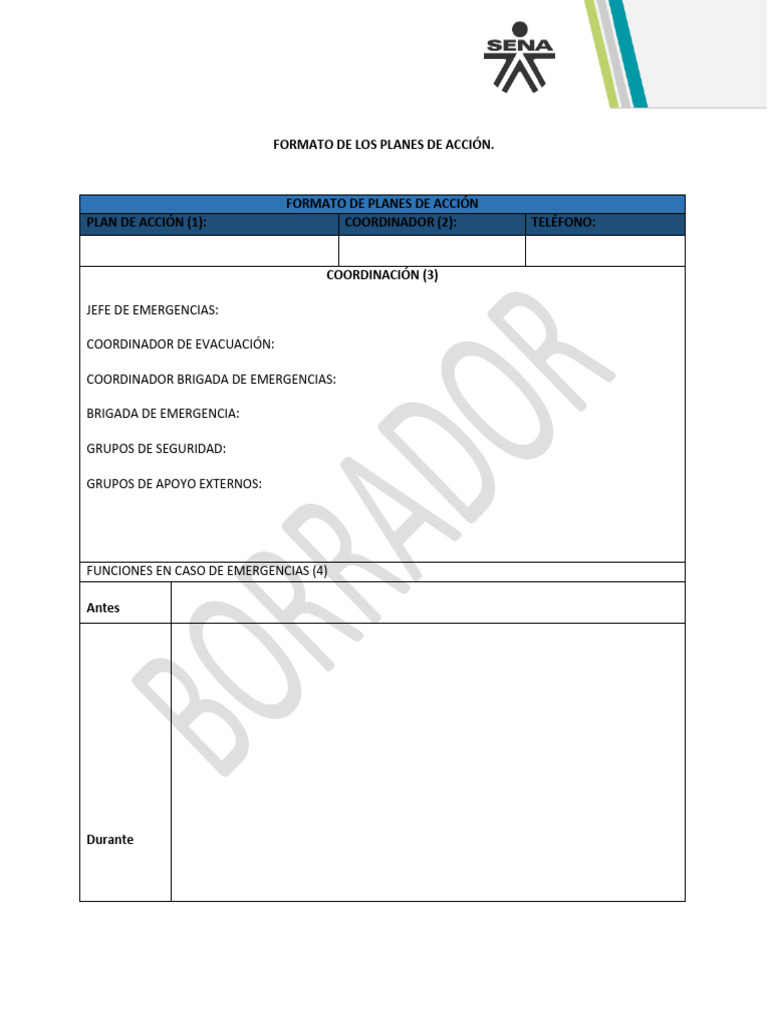 FORMATO PLANES DE ACCION | PDF
