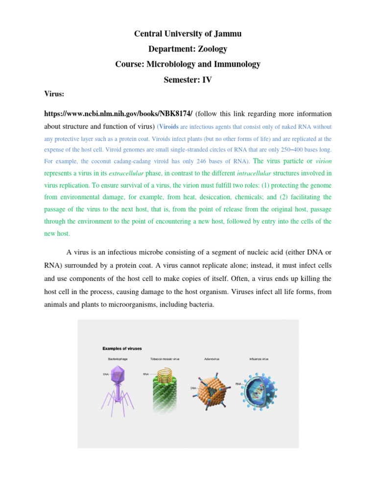 Virus Full Detail | PDF | Virus | Sense (Molecular Biology)