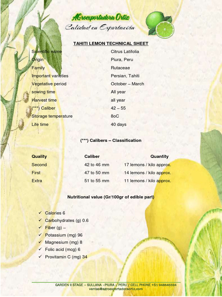 FICHA TÉCNICA LIMÓN TAHITI - Technical Sheet | PDF