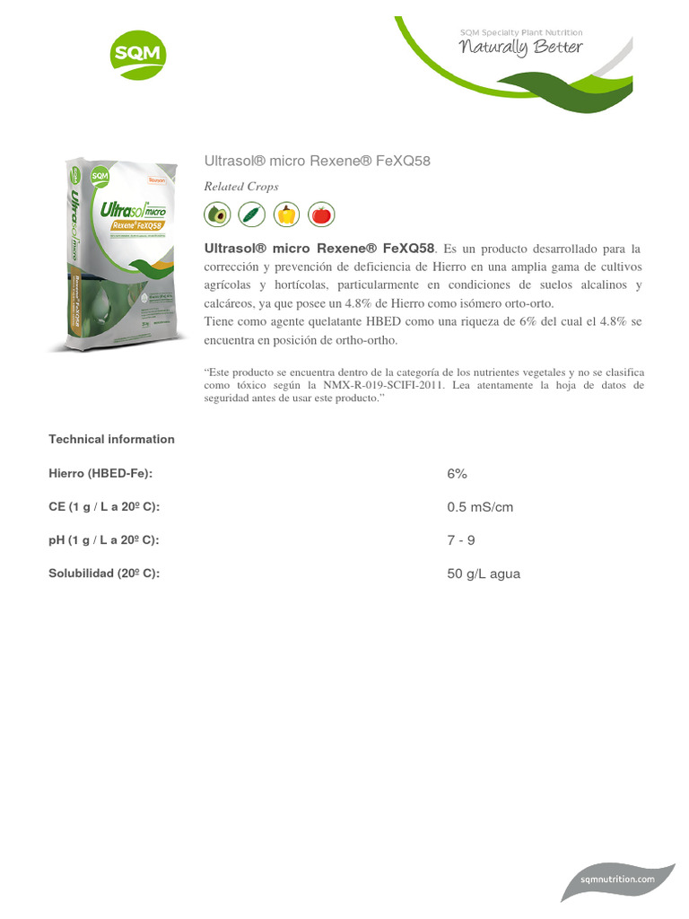 FT - Champion Micro Rexene Fexq58 | PDF | Tecnología