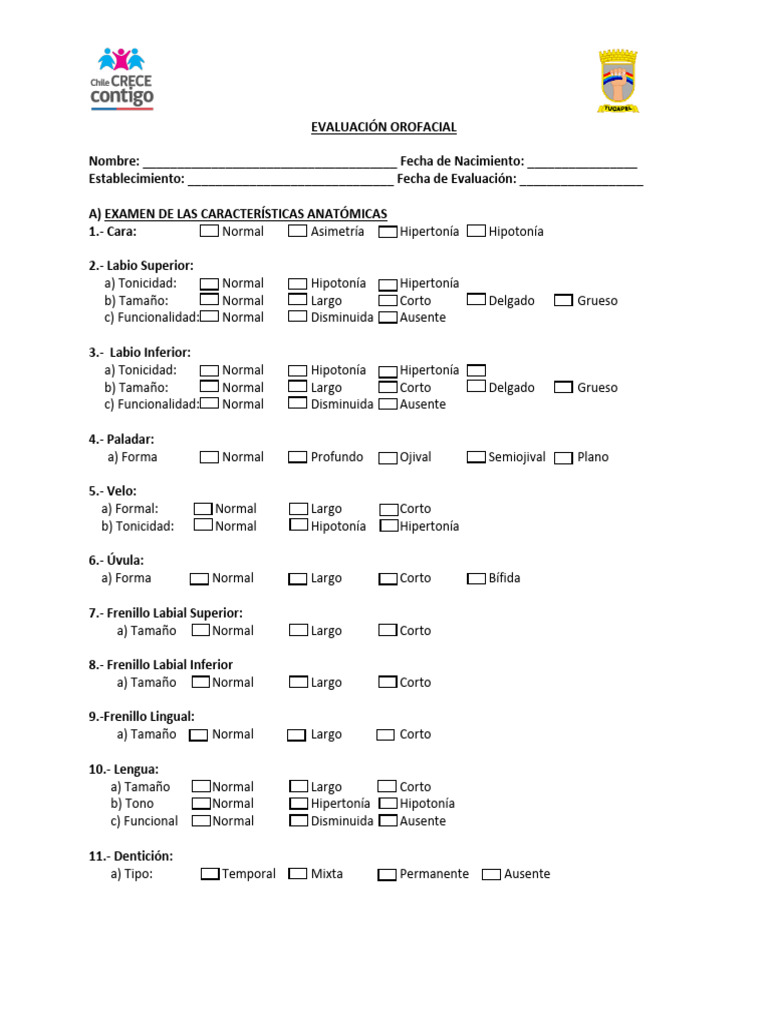 Pauta OFAS | PDF | Boca | Lengua