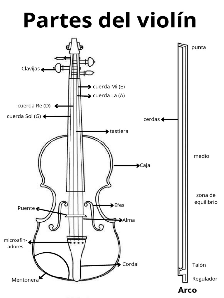 Partes del violín (1) | PDF