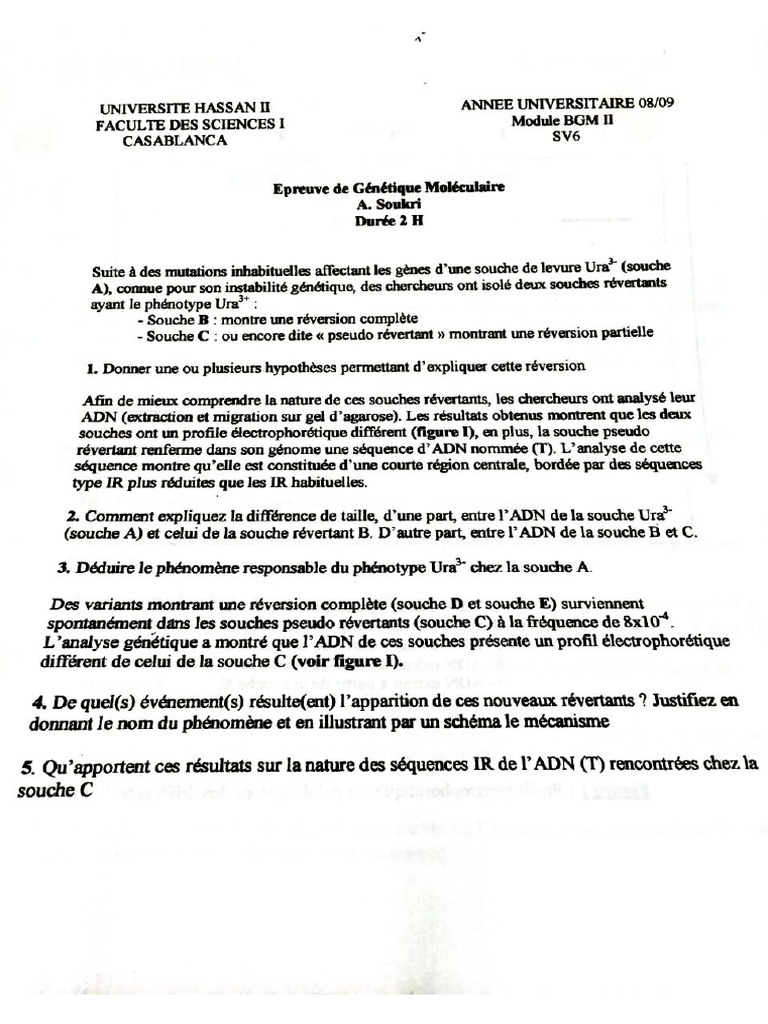 Examen GENE | PDF