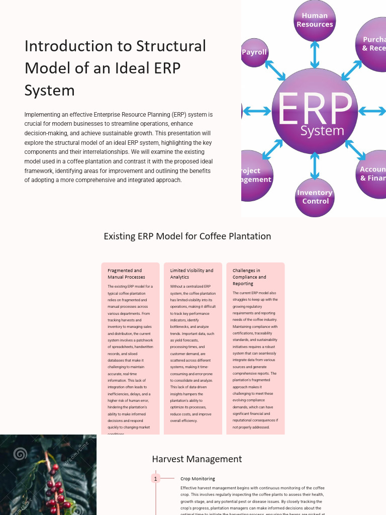 Introduction To Structural Model of An Ideal ERP System | PDF ...