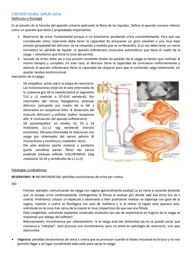 Urodinamia Aplicada | PDF | Sistema urinario | Micción