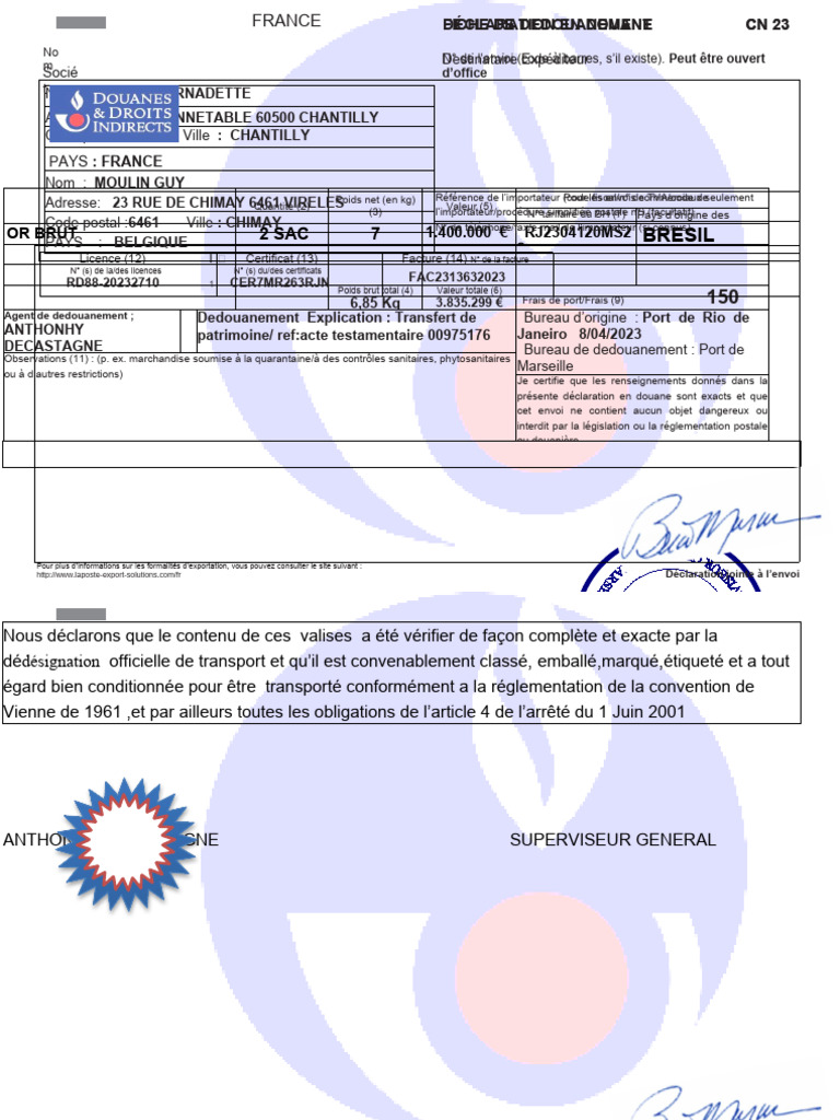 Déclaration en Douane CN 23 France | PDF