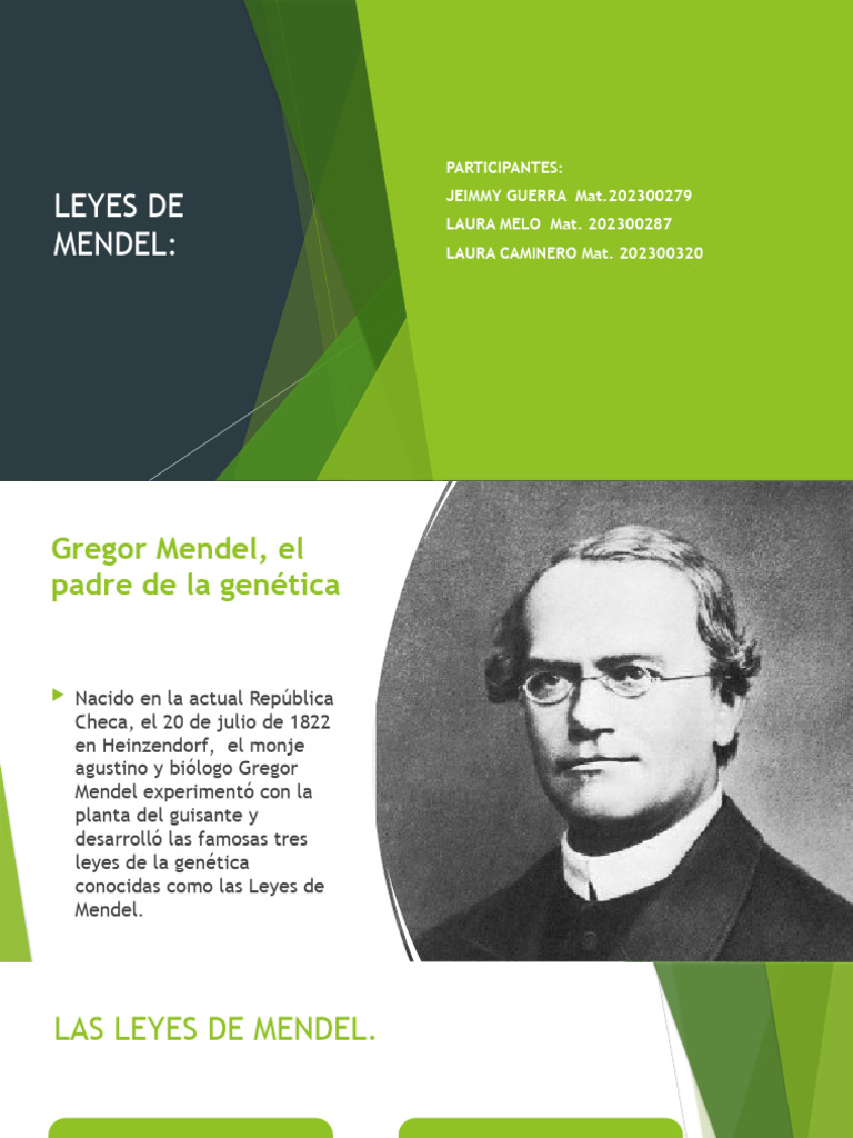 Leyes de Mendel y su legado genético | PDF | Dominancia (Genética ...