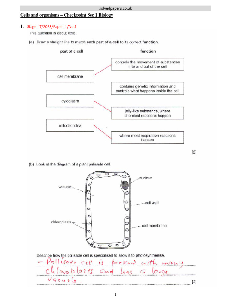 2023 22 Cells and Organisms Checkpoint - Sec - 1 - Progression Stage 7 ...