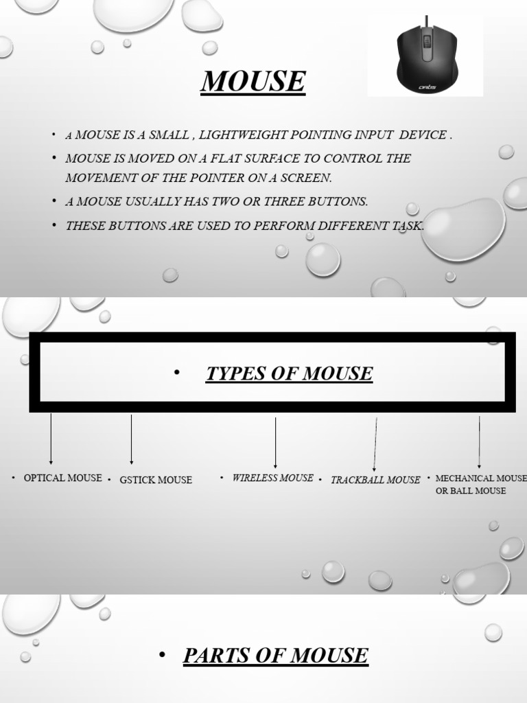 Mouse Presentation | PDF