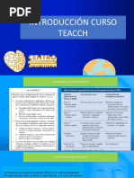 Ejemplo de Valoración de Prolexia | PDF | Dislexia | Cognición