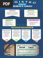 AnexoD140 - Declaracion de Inscripcion en El Registro Unico Tributario | PDF