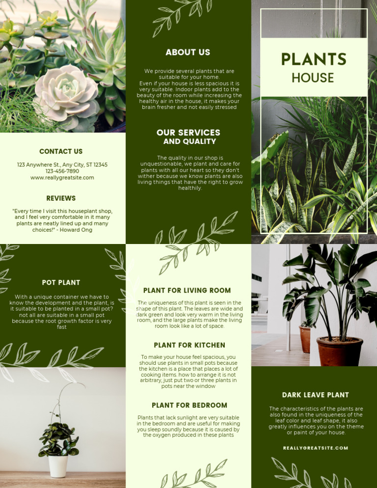 Plants House Minimalist Green Trifold Brochure | PDF | Plants | Houseplant