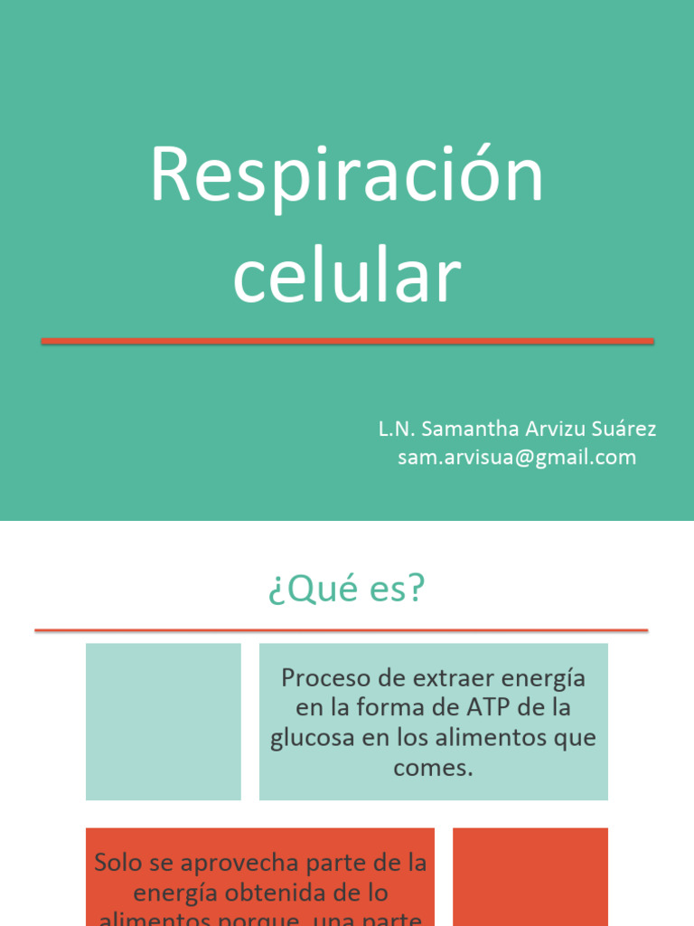 Respiración Celular | PDF | Respiración celular | Trifosfato de adenosina