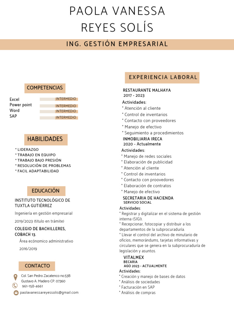 CV Paola Vanessa Reyes Solís. (1) | PDF | Business
