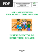 Explicação preenhimento API e PAEE - EDUCAÇÃO ESPECIAL - AEE | PDF ...