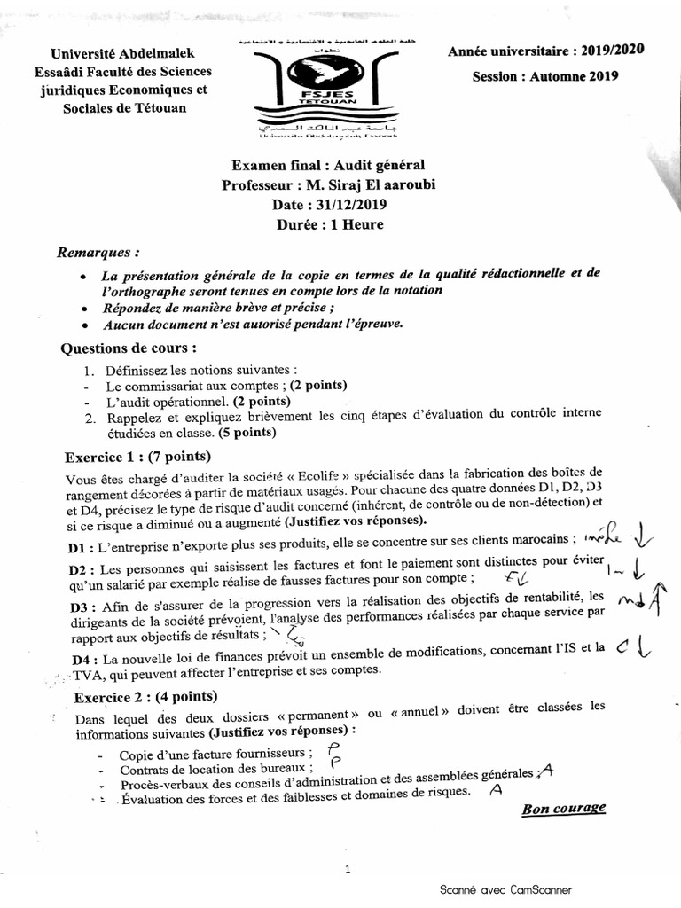 Examen Audit 2019 | PDF