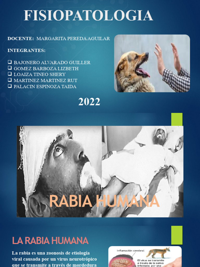 Historia y Prevención de la Rabia | PDF | Rabia | Causas de la muerte
