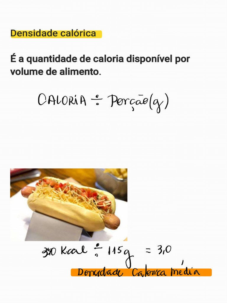 Densidade Calórica | PDF