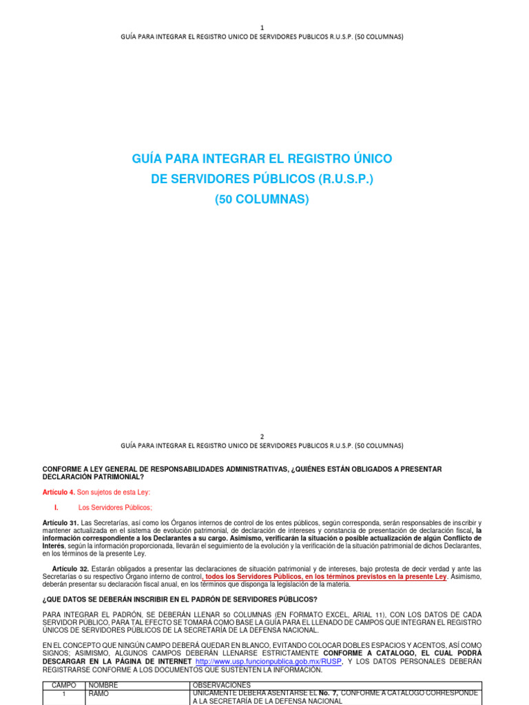 Guia Llenado 50 Columnas Rusp | PDF | Comandante