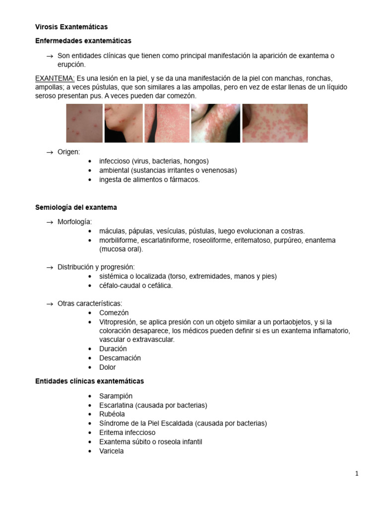 Virosis Exantemáticas y Sarampión | PDF | Sarampión | Virus