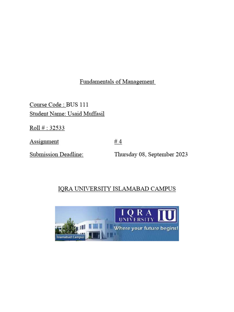Assignment 4 (Usaid) | PDF | Sales | Innovation