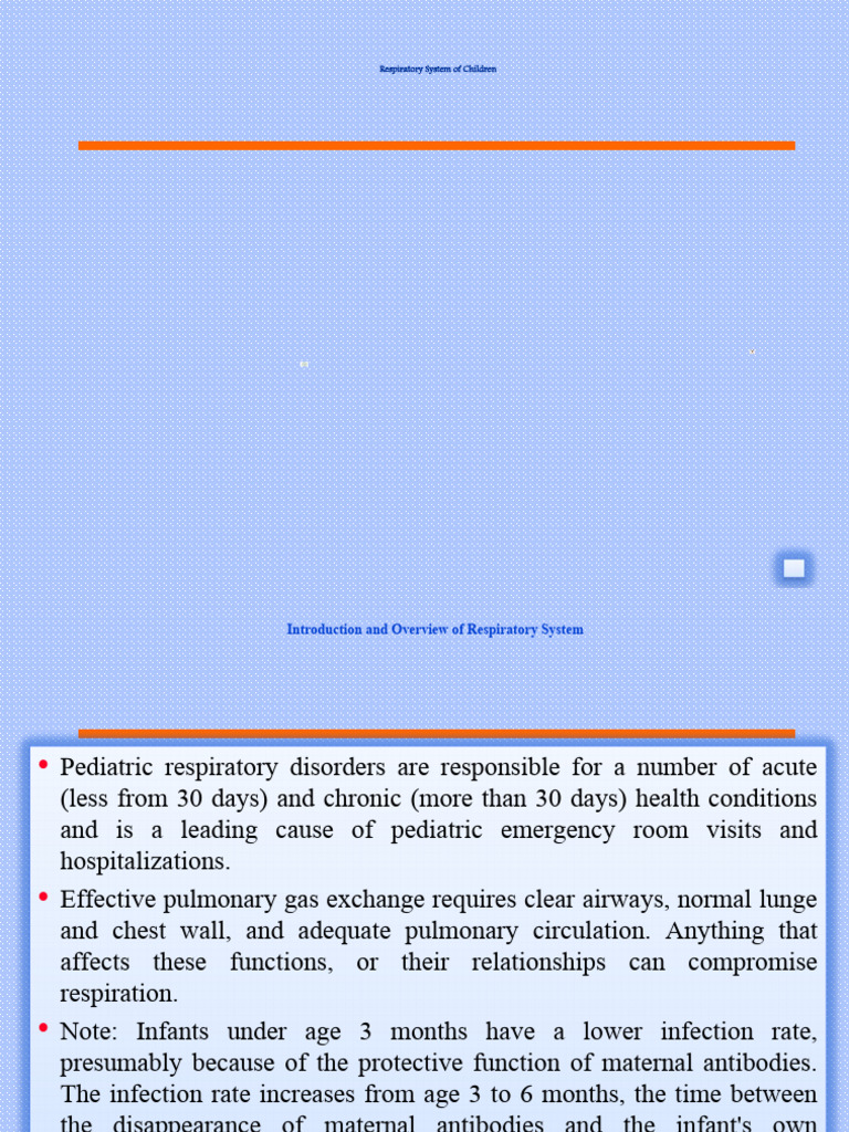 Respiratory System of Children | Download Free PDF | Respiratory ...