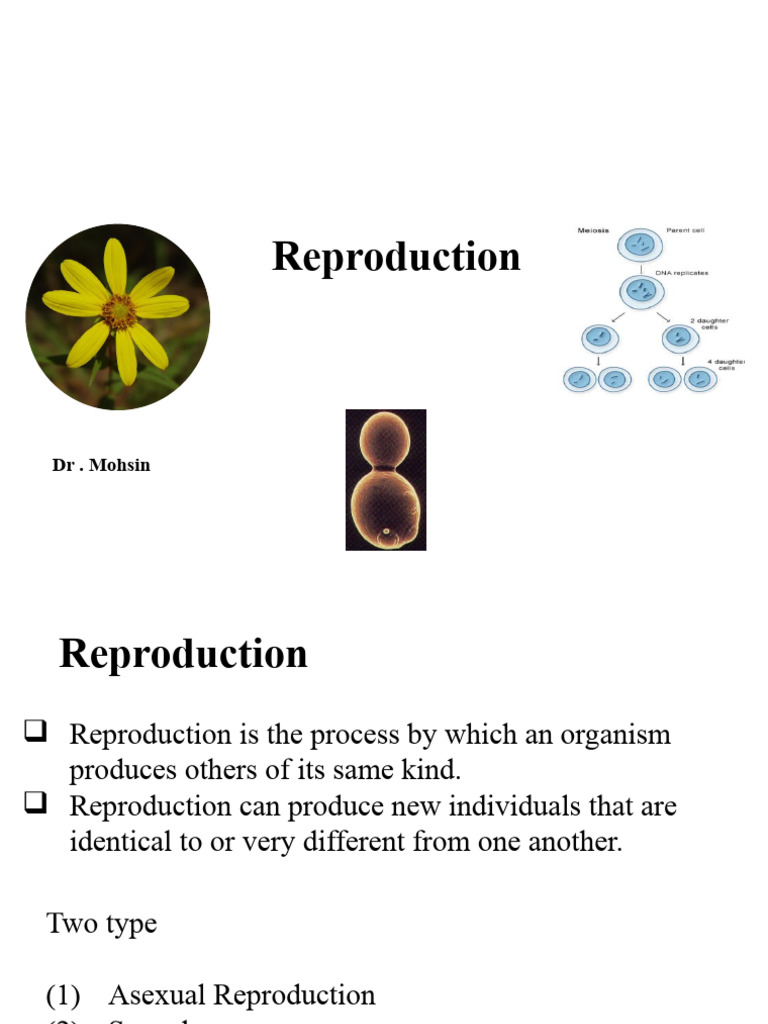 Methods of Reproduction | PDF | Reproduction | Sexual Reproduction