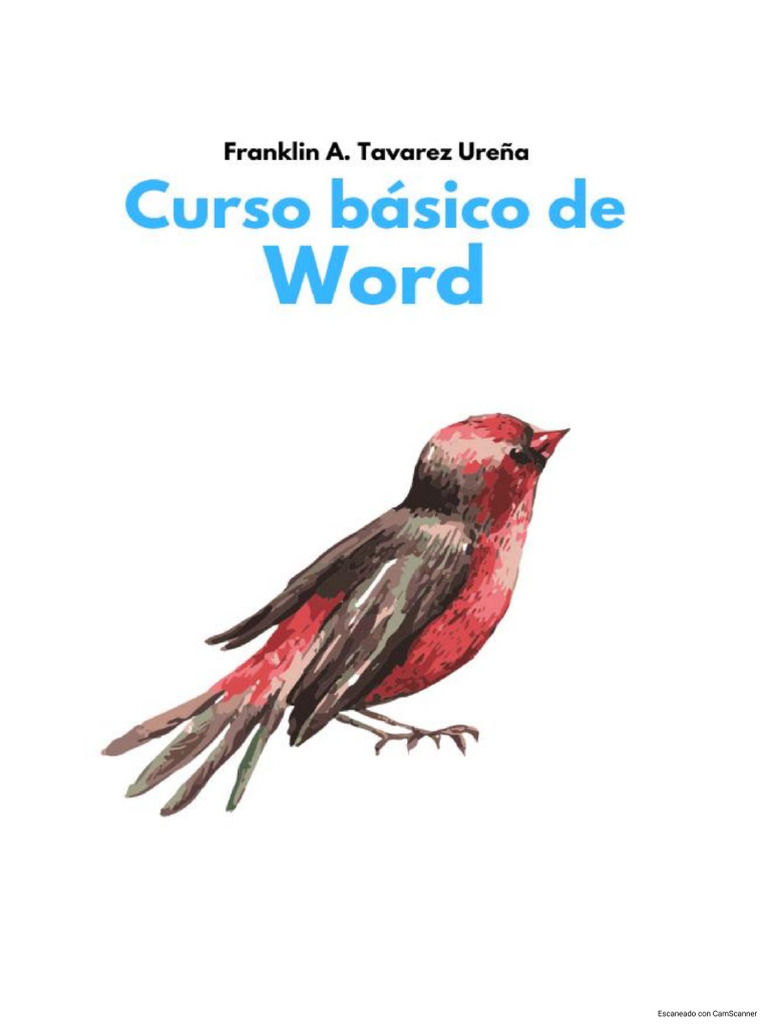 Manejo de Word Basico 2022 | PDF