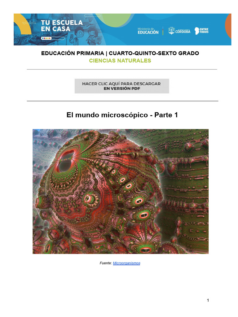 El Mundo Microscópico - Parte 1 - Educación Primaria - Cuarto-Quinto ...