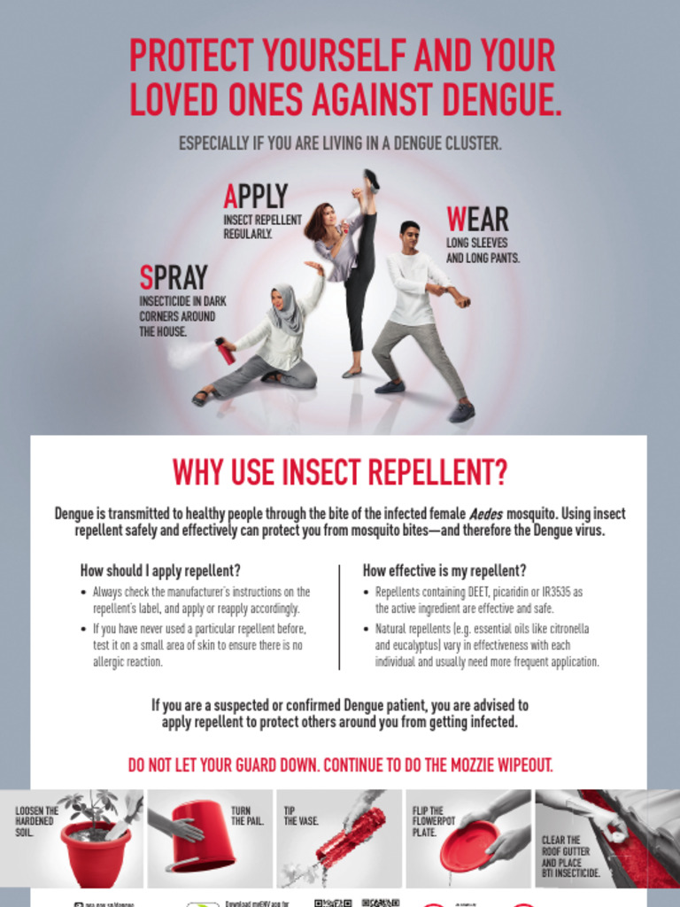 Dengue Self Protect A4 Flyer | PDF