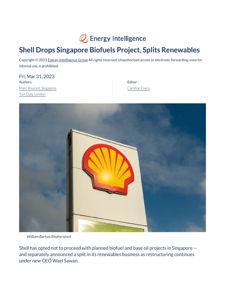 Shell Drops Singapore Biofuels Project, Splits Renewables Energy ...