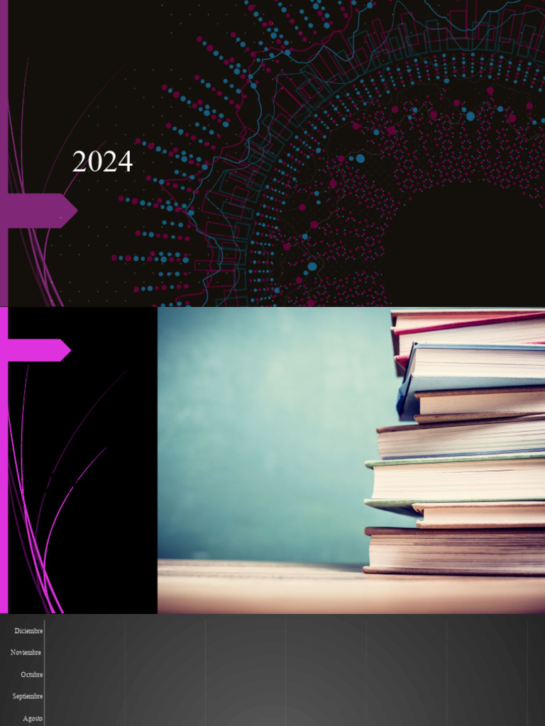 2024 | PDF