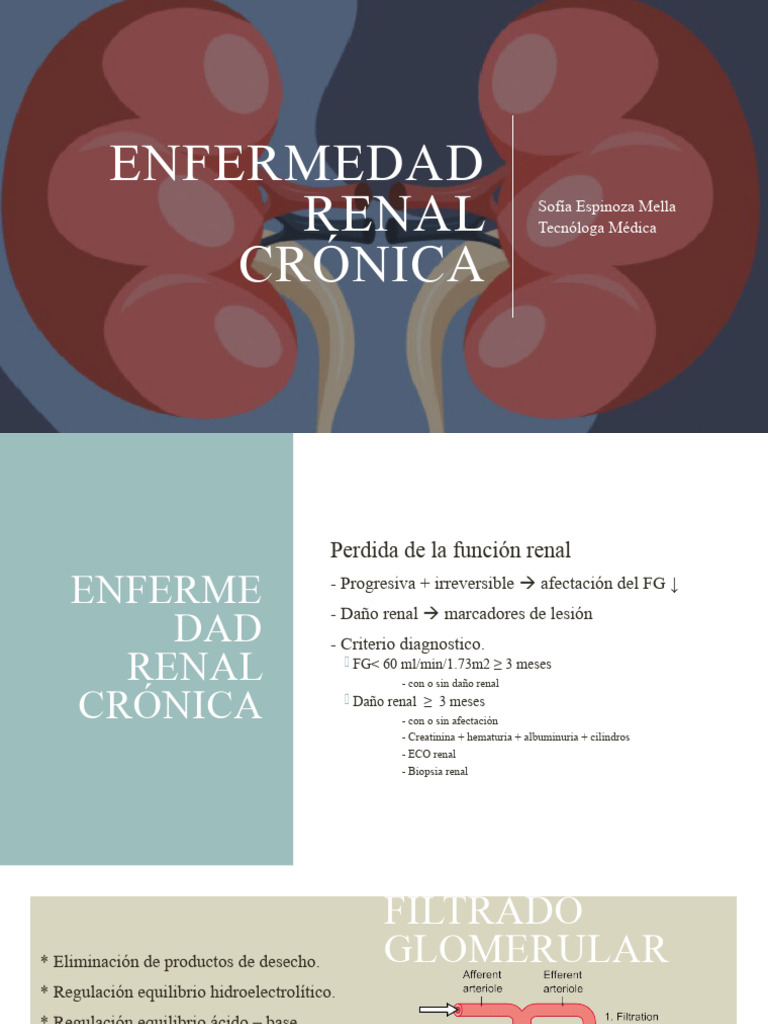 Enfermedad Renal Cronica | PDF | Enfermedades y trastornos | Especialidades Medicas