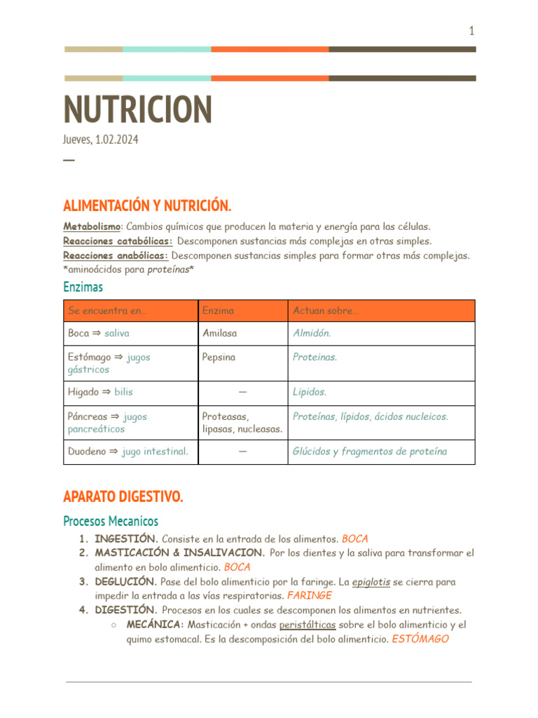 NUTRICION | PDF | Digestión | Sistema digestivo humano